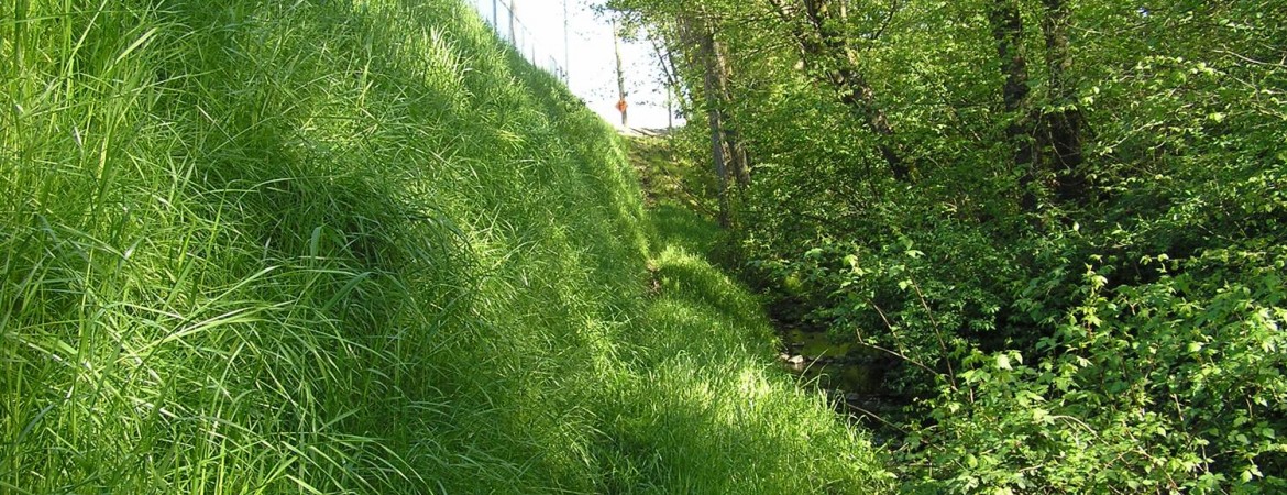 Vegetated Geomodular Wall System for walls or erosion control - Flex MSE